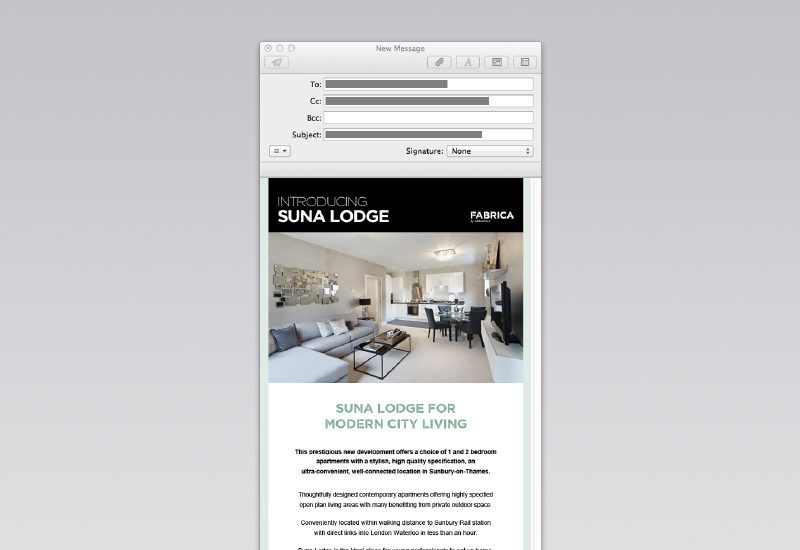 Custom Designed Real Estate Email Newsletter Campaigns for Realtors®