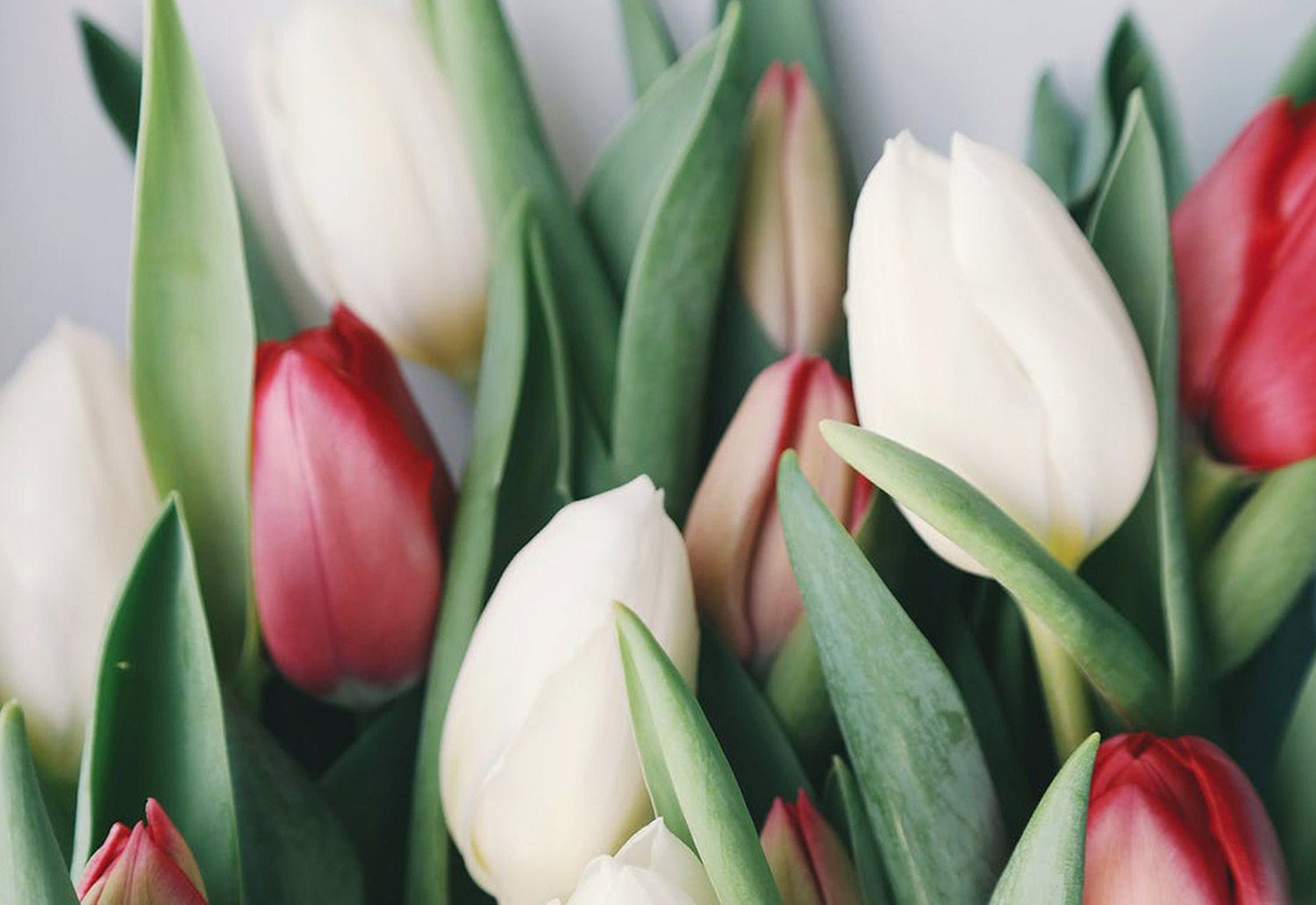 Using Fresh Flowers to Impress Potential Buyers